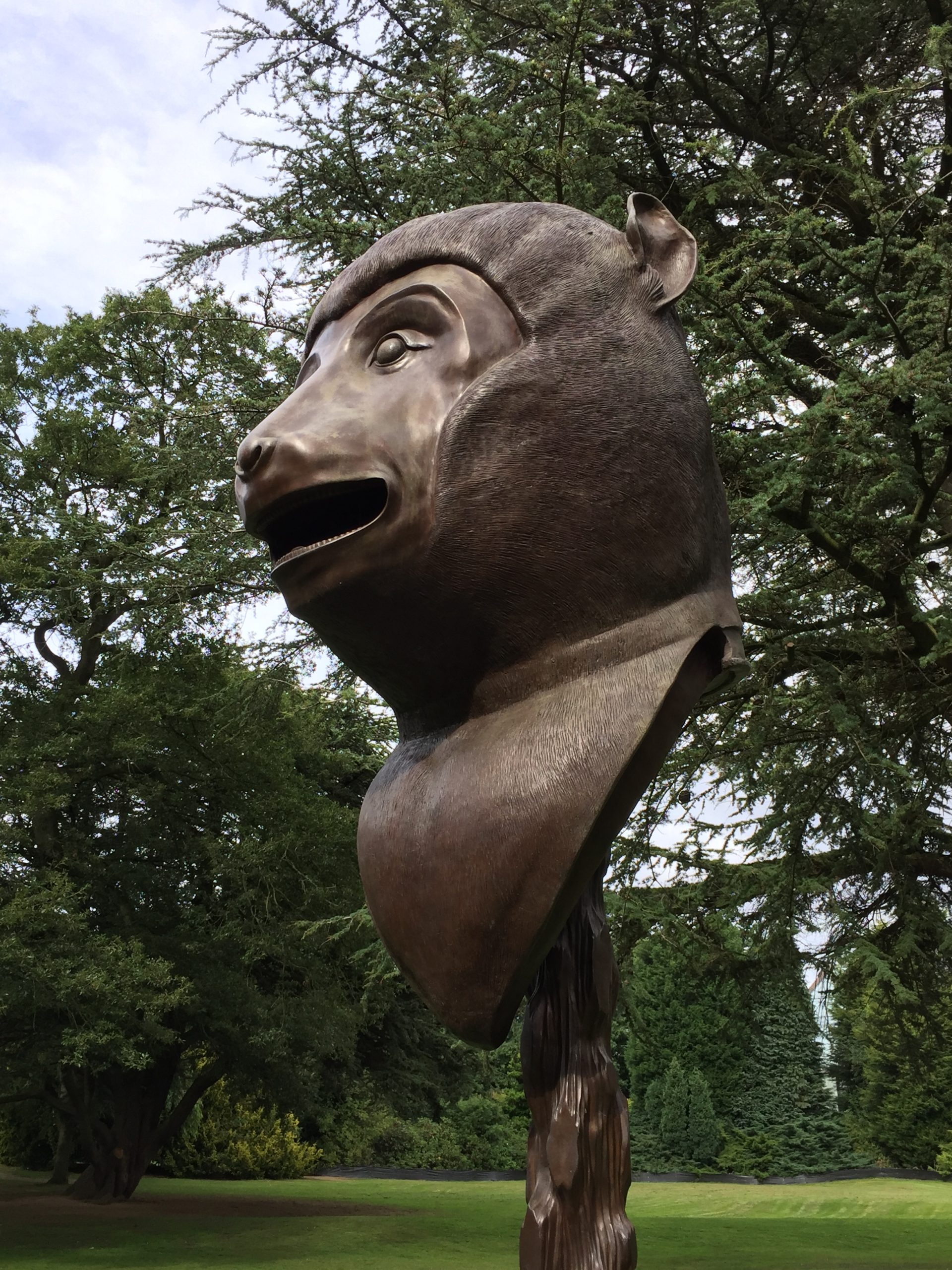 YSP – Mostly Museums